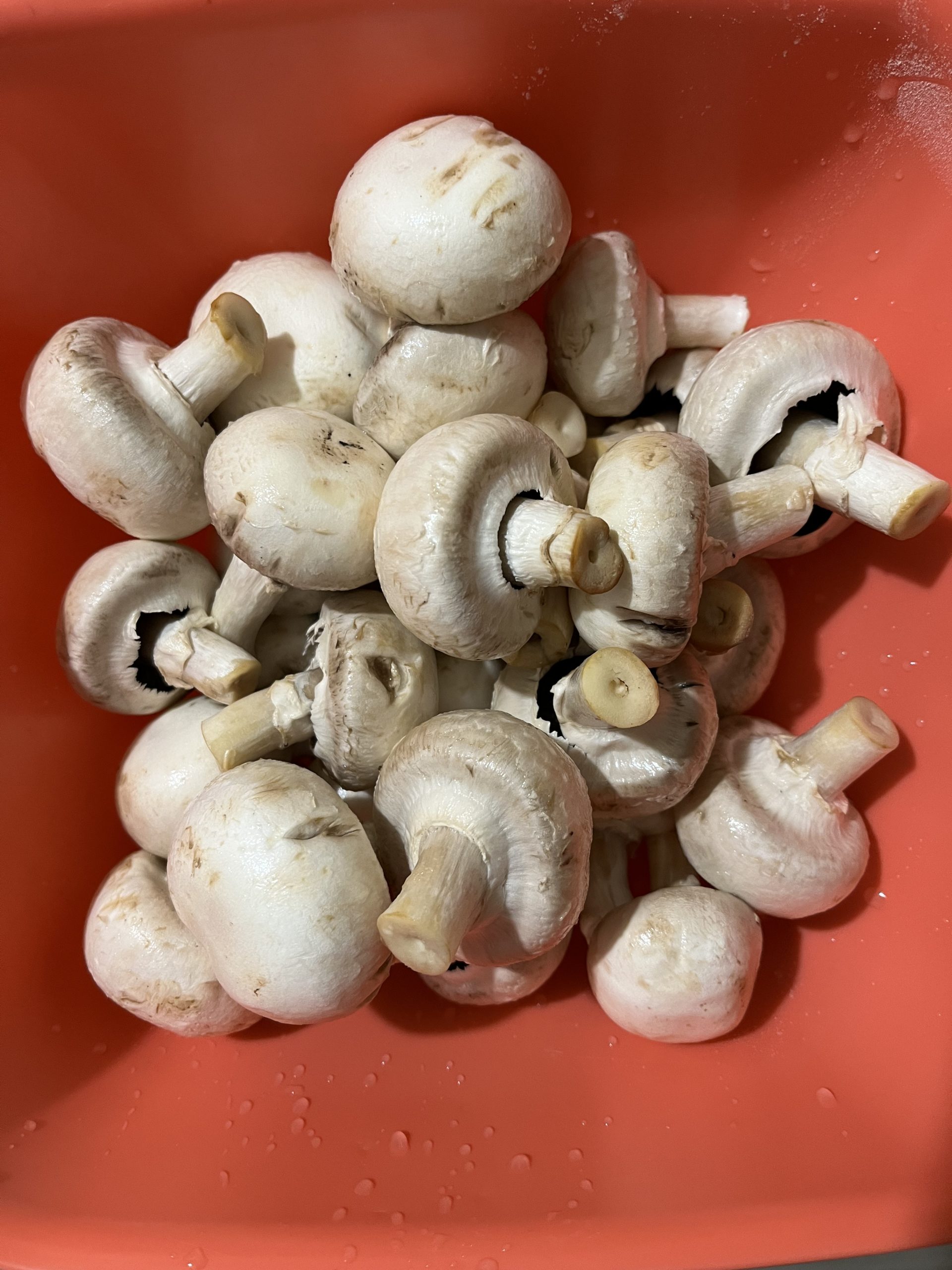 Polish Cuisine - Mama's Barbara traditional recipes